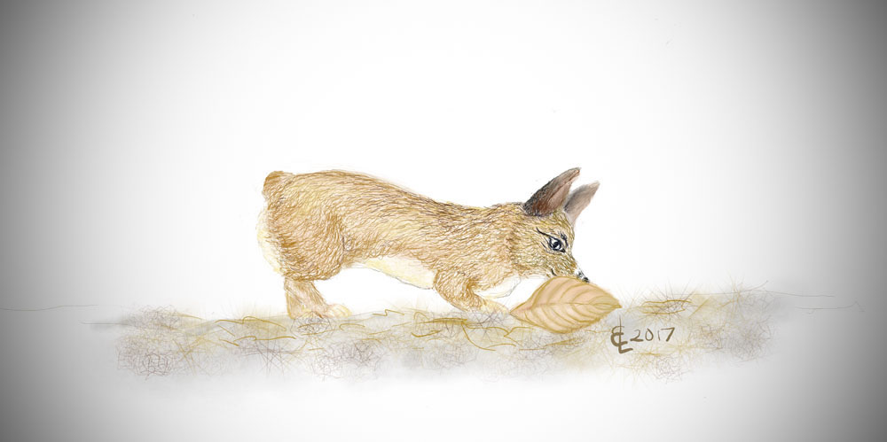 Trees and Shuffle Puffling – Rising Over the Smoke